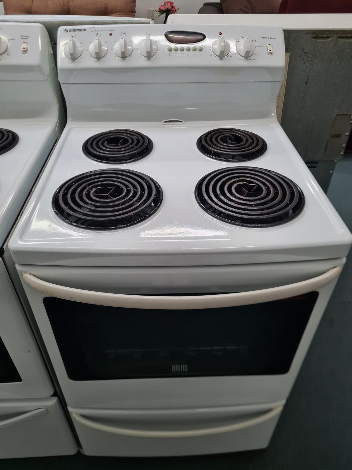Simpson Multifunction Gemini Freestanding Stove - Shop Zone